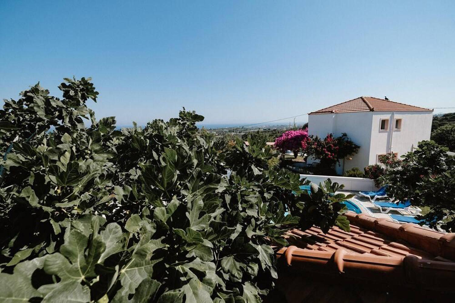 Villa Maia, Rhodes Fanes - Villas to Rent with Private Pool